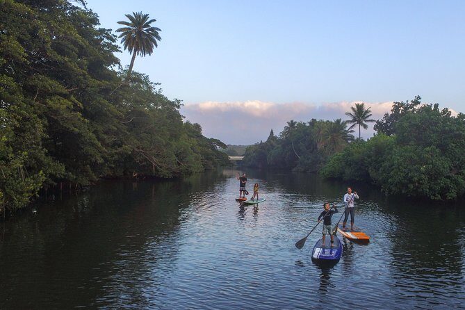 Private Stand up Paddle Lesson and Tour (for 1 or more paddlers) - The Itinerary and What to Expect