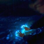 Private Sunset and Bioluminescence Tours in Cocoa Beach - The Practical Side: What You Need to Know