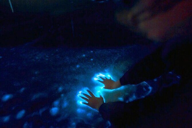 Private Sunset and Bioluminescence Tours in Cocoa Beach - The Practical Side: What You Need to Know