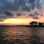 Private Sunset and Fireworks Dolphin Tour (6 people max) - Practical Details and Considerations