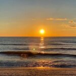 Private Sunset Eco Tour of Marco & 10,000 Islands - A Closer Look at the Experience