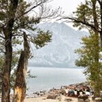 Private Sunset Wildlife Dinner Safari From Jackson WY - The Itinerary in Detail