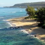 Private Surf Lesson for 3-5 People in North Shore Oahu - Who Will Love This Experience?