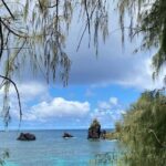 Private Surf Lessons in Lahaina, Maui - What the Lesson Involves – A Step-by-Step Breakdown
