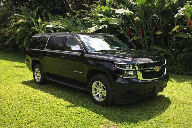 Private SUV Transfer- Lihue Airport to Lihue/Kapaa - Exploring the Practicalities
