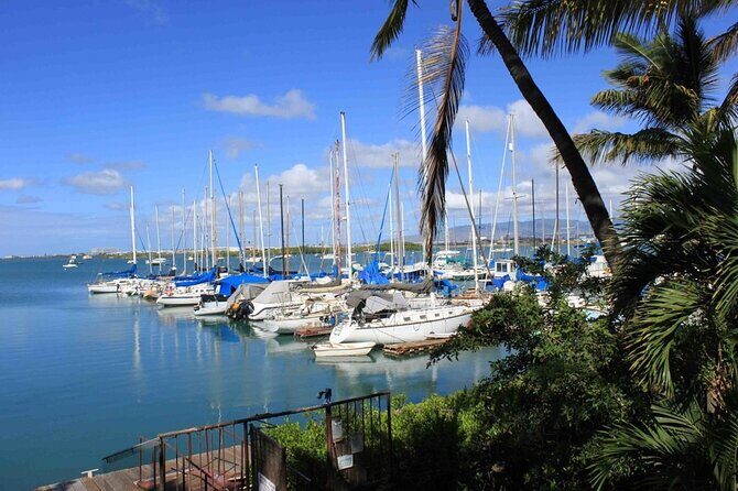 Private Tiki Bar Sunset Cruise in Honolulu - FAQs