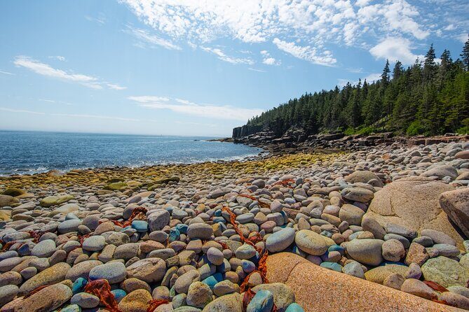Private Tour Acadia National Park, Fjord - Price & Value: Is It Worth It?