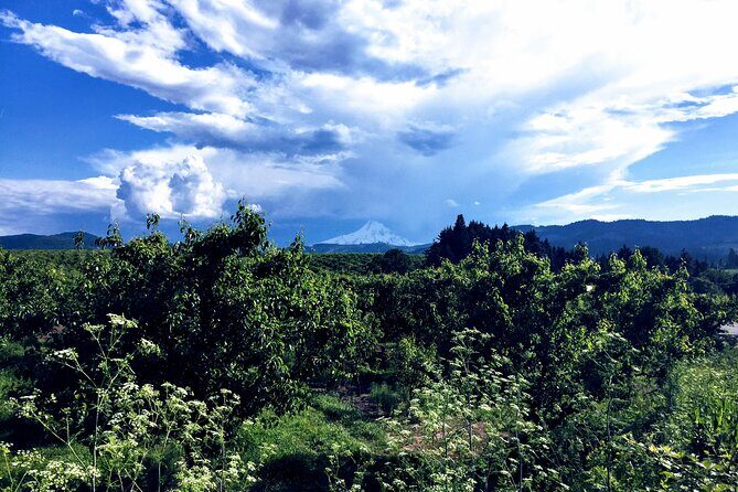 Private Tour at The Hood-Columbia Loop: Timberline, Orchards, and Waterfalls - Who Will Love This Tour?