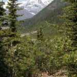Private Tour: Chugach State Park Hiking Tour from Anchorage - What to Expect: How the Day Unfolds