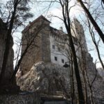 Private tour: departure Bucharest to Peles Castle, Bran and Brasov Old Town - Analyzing the Value and Practical Aspects