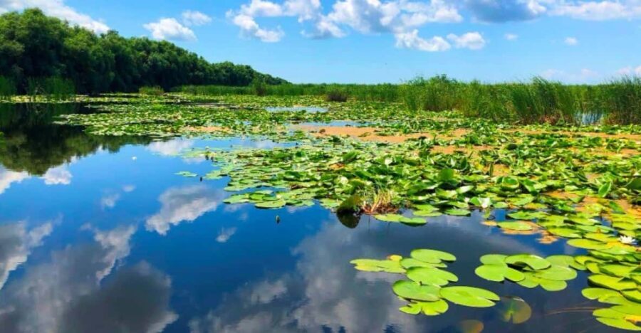 Private Tour from Bucharest to Danube Delta 2 Days Tour - The Ecosystem and Why It Matters