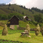 Private Tour from Bucharest to Painted Monasteries-UNESCO - Discovering Bucovina’s Painted Monasteries