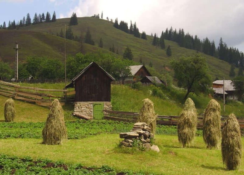 Private Tour from Bucharest to Painted Monasteries-UNESCO - Discovering Bucovina’s Painted Monasteries