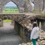 Private Tour from Dublin: Hill of Tara Trim Castle, Celtic sites - A Day in Ireland’s Past: What to Expect