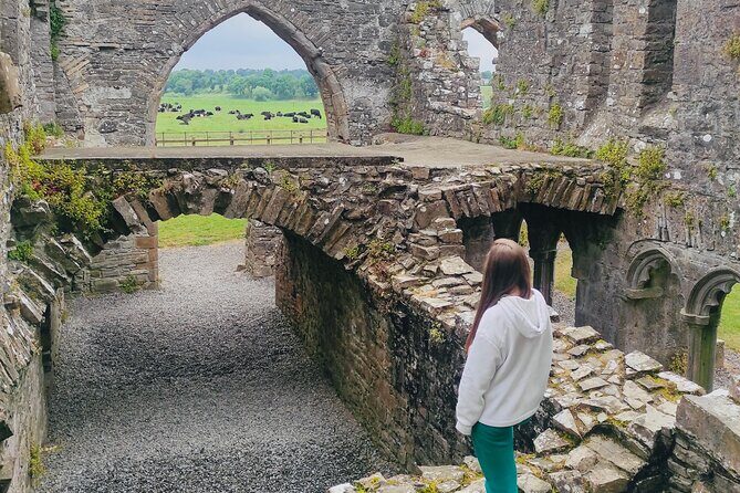 Private Tour from Dublin: Hill of Tara Trim Castle, Celtic sites - A Day in Ireland’s Past: What to Expect