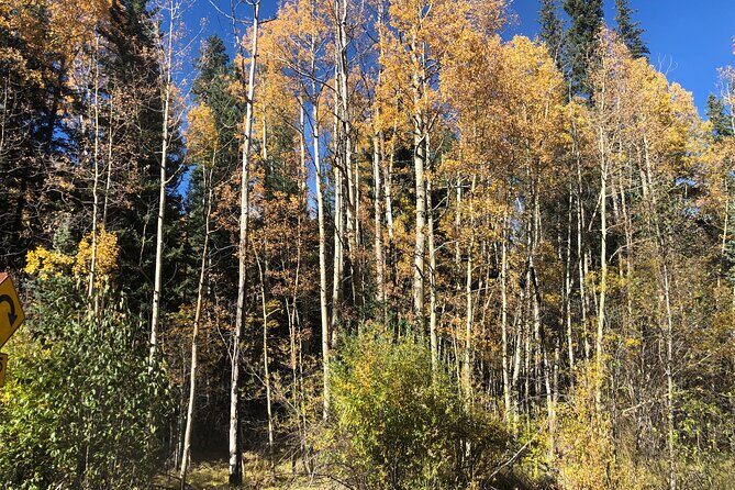 Private tour hiking to Saint Mary's Glacier, Red Rock and Hot Springs - Authentic Stories and Local Insights