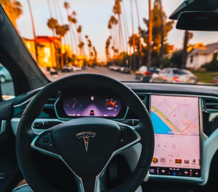 Private Tour Hollywood Beverly Hills Santa Monica Venice - What the Reviews Say