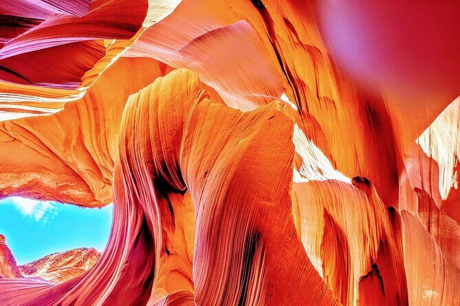 Private Tour - Horseshoe Bend & Lower Antelope Canyon - Real Feedback Reflecting Authentic Experiences
