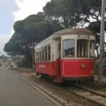 Private Tour in Sintra and Cascais - Transportation and Comfort