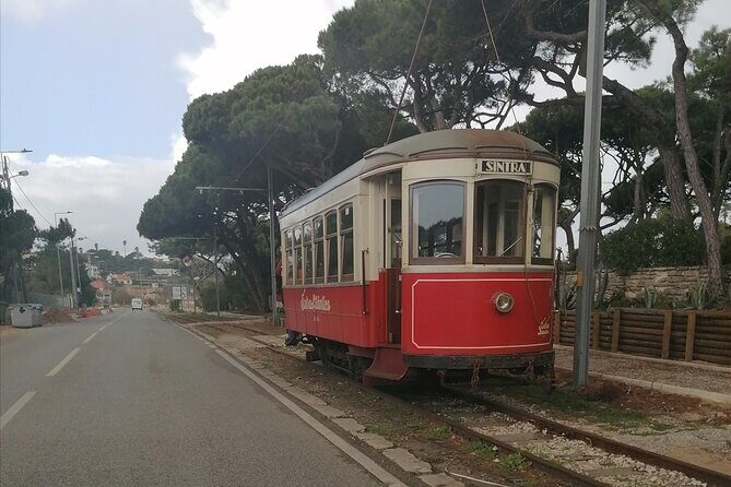 Private Tour in Sintra and Cascais - Transportation and Comfort