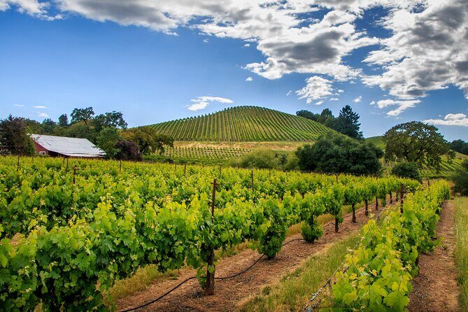 Private Tour Napa and Sonoma Valley Wine - Detailed Breakdown of the Itinerary