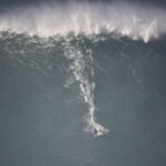 Private Tour - Nazaré Waves and Village from Lisbon - Who Will Love This Tour?