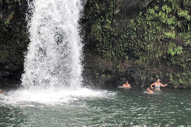Private Tour : OAHU, MAUI, KAUAI or BIG ISLAND : Pick any Island - Final Thoughts