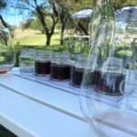 Private Tour of California's Central Coast (San Luis Obispo-Paso Robles-Cambria) - An Honest Look at the Itinerary and Its Value