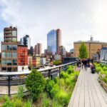 Private Tour of High Line, Chelsea, Hudson Yards and Edge - Walking the High Line: Urban Park and Viewpoint