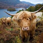 Private Tour of Loch Ness, Glencoe and Highlands from Edinburgh - Detailed Breakdown of the Itinerary