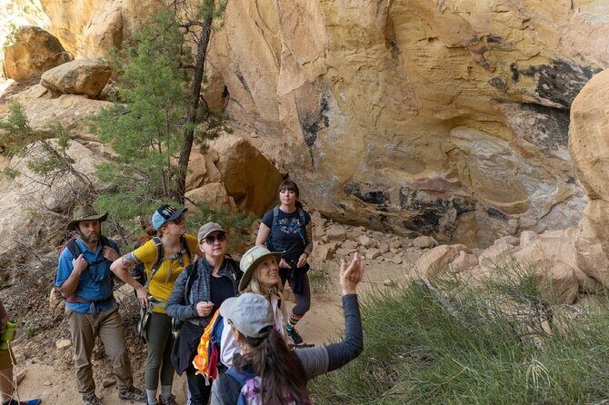 Private Tour of Mesa Verde With an Archeologist-Trained Guide - The Experience and the Guides