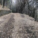 Private tour of Mount Etna and the Alcantara Gorges - What Makes This Tour Stand Out?