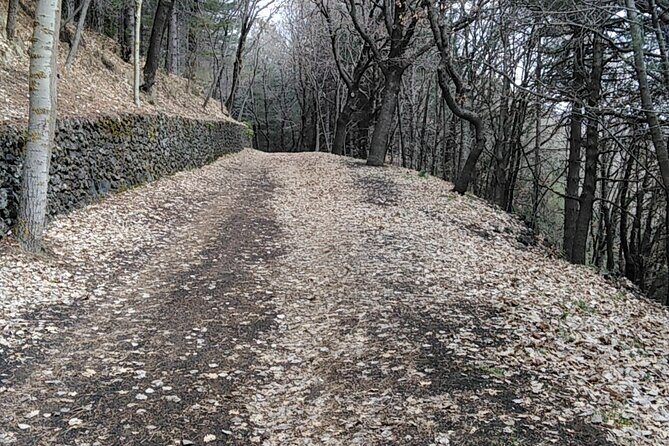 Private tour of Mount Etna and the Alcantara Gorges - What Makes This Tour Stand Out?