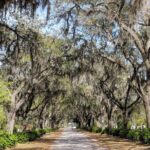 Private Tour of Savannah's Historic/Victorian Districts & Bonaventure Cemetery - What Travelers Say