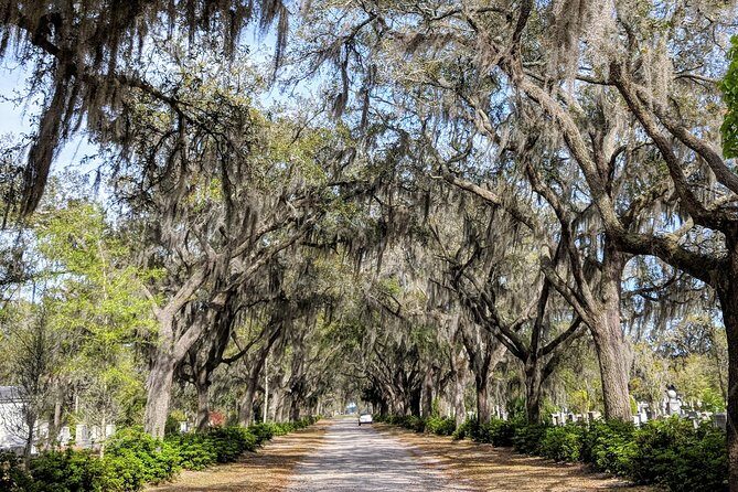 Private Tour of Savannah's Historic/Victorian Districts & Bonaventure Cemetery - What Travelers Say