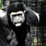 Private Tour of Sonoma Wild Safari Animal Park and Sonoma Redwoods - Who Will Love This Tour?
