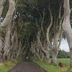 Private tour of the Antrim coast , Giants Causeway and Game of Throne locations - Detailed Breakdown of the Itinerary