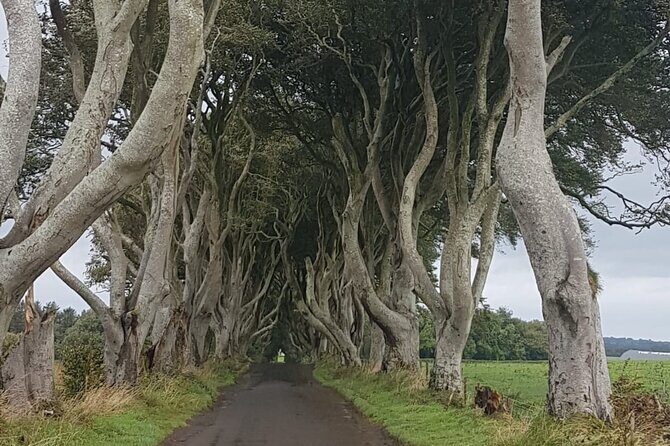 Private tour of the Antrim coast , Giants Causeway and Game of Throne locations - Detailed Breakdown of the Itinerary