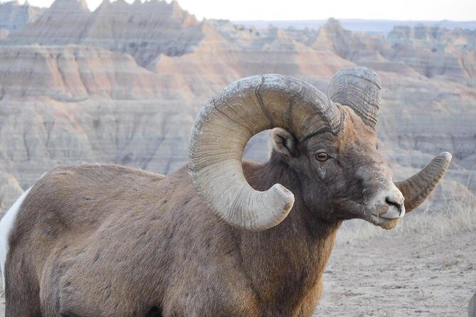 Private Tour of the Badlands with Local Experts - FAQs