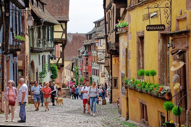 Private Tour: Picturesque Alsatian Villages & Wine Tasting with a local expert - FAQs