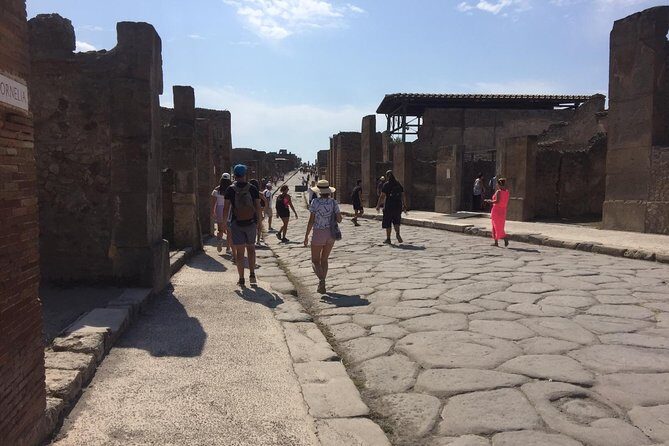 Private Tour: Pompeii Half-Day Trip from Naples - The Transport-Only Option