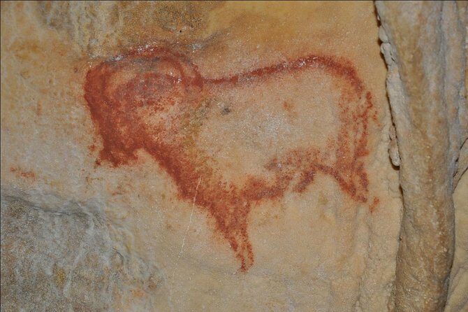 Private Tour : Prehistoric Cave and Castle by EXPLOREO SARLAT - The Sum Up