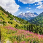 Private Tour Skagway City & Summit - What’s Included and What’s Not