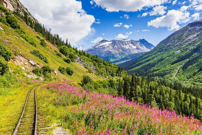 Private Tour Skagway City & Summit - What’s Included and What’s Not