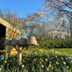 Private Tour, Tesla from Amsterdam: Keukenhof & Tulip Fields - Transportation & Practical Details