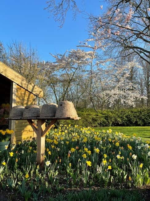 Private Tour, Tesla from Amsterdam: Keukenhof & Tulip Fields - Transportation & Practical Details