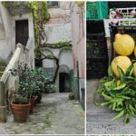 Private Tour: The Path of the Lemons - Analyzing Value & Cost