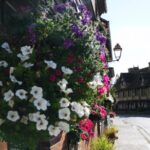 Private Tour to Bayeux, Honfleur and Pays d' Auge from Bayeux - Transportation and Logistics