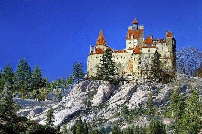 Private Tour to Dracula's Castle, Braov City & Pele Castle - The Perfect Day: A Deep Dive Into the Itinerary