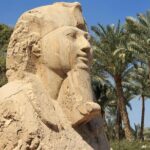 Private Tour to Giza Pyramids and Memphis and Saqqara Pyramids - Transportation and Guide Quality